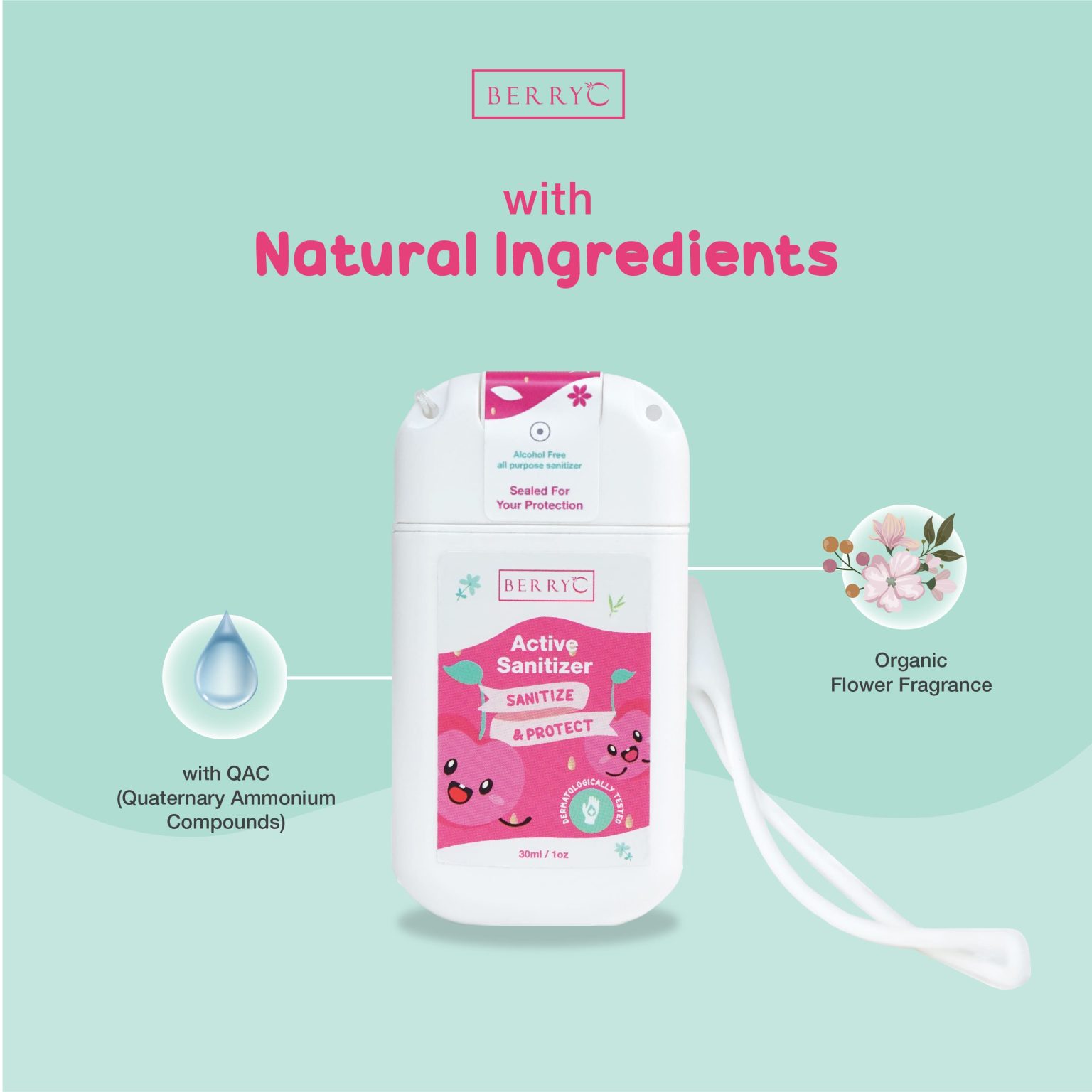 Berry C – Pocket Sanitizer Spray 30ml For Hand & Surface – Jual Makanan ...
